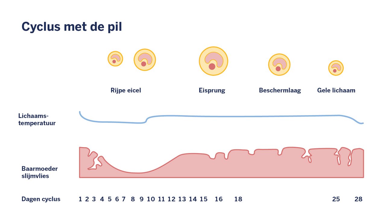 Hormonale acne en de cyclus